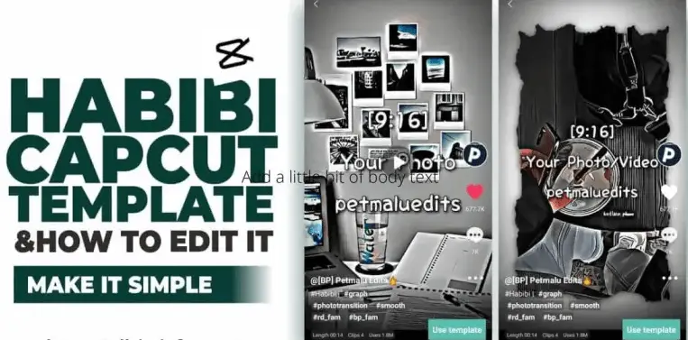 5 New Habibi Capcut Template Link 2025